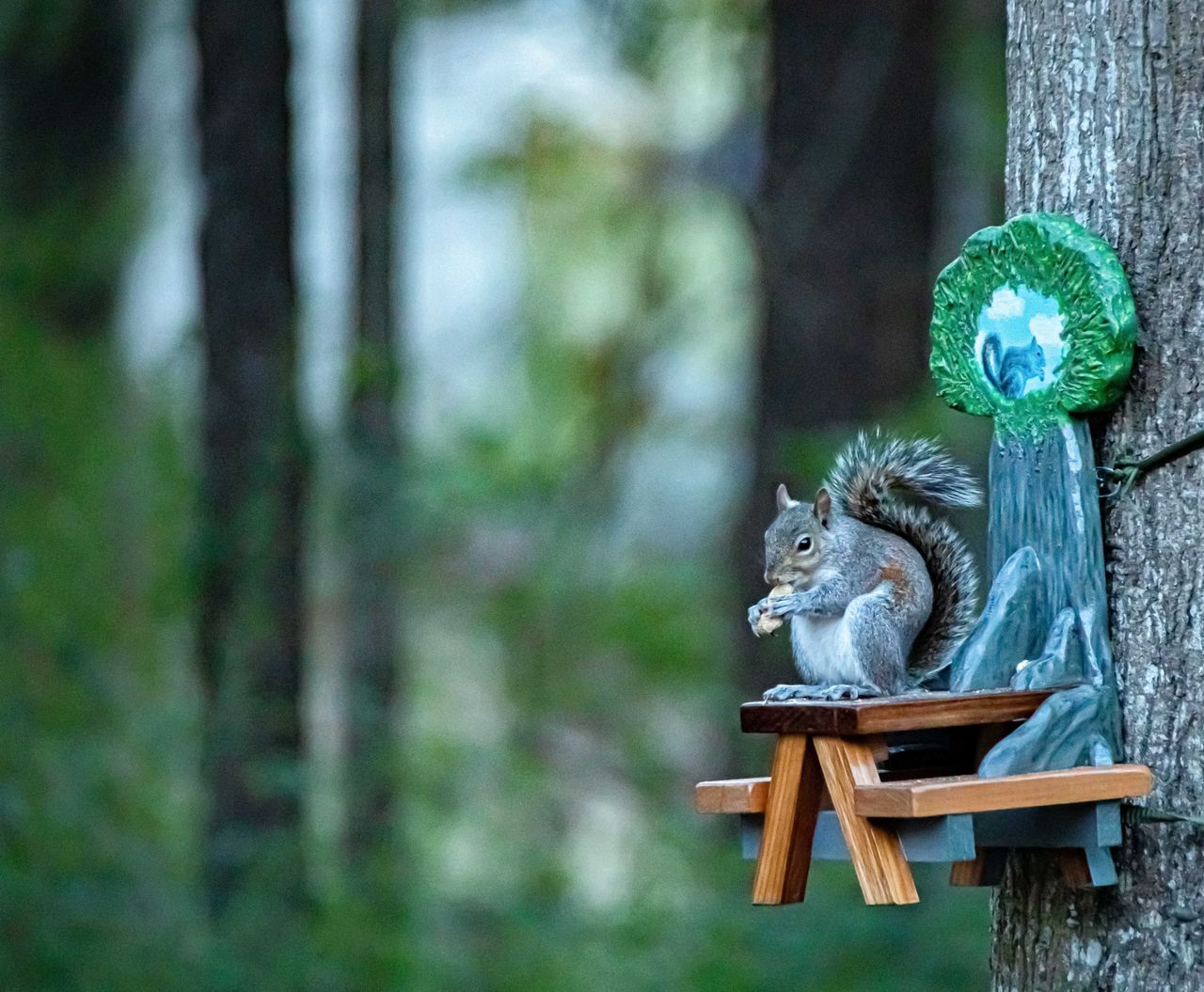 National Travel and Tourism Week Sweepstakes - Visit Henry County, Georgia